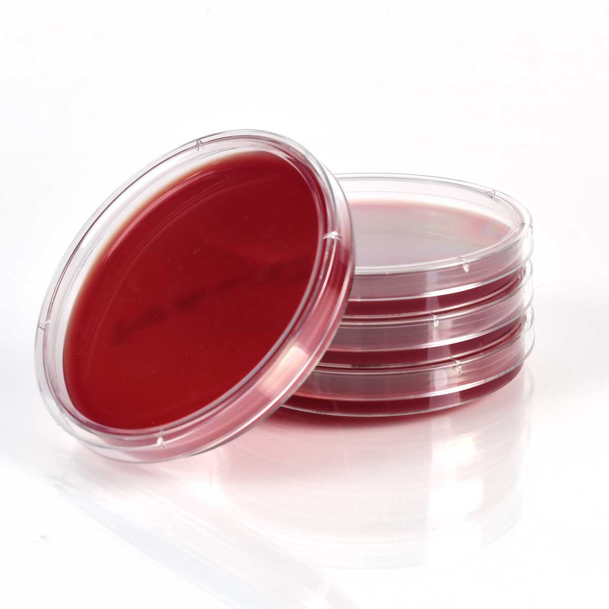 blood agar