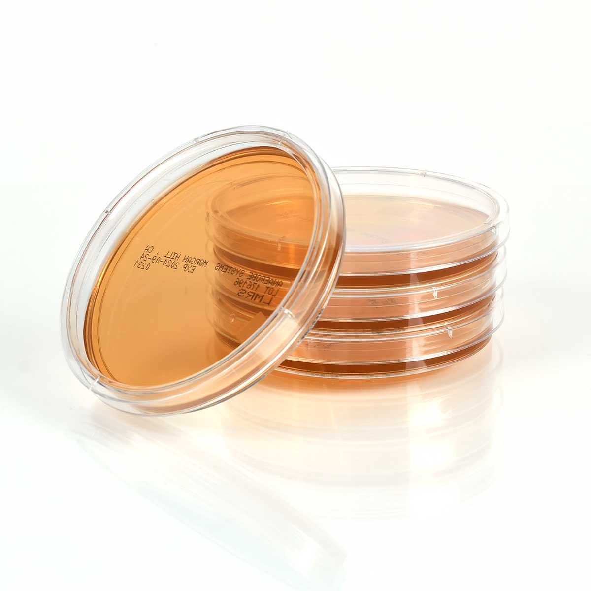 SAMPLE Lactobacilli-MRS Agar (LMRS)