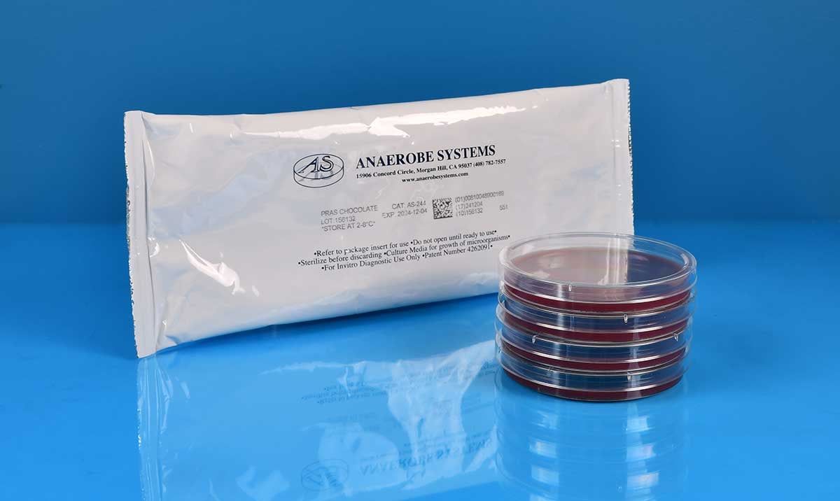 SAMPLE Chocolate Agar (CHOC)