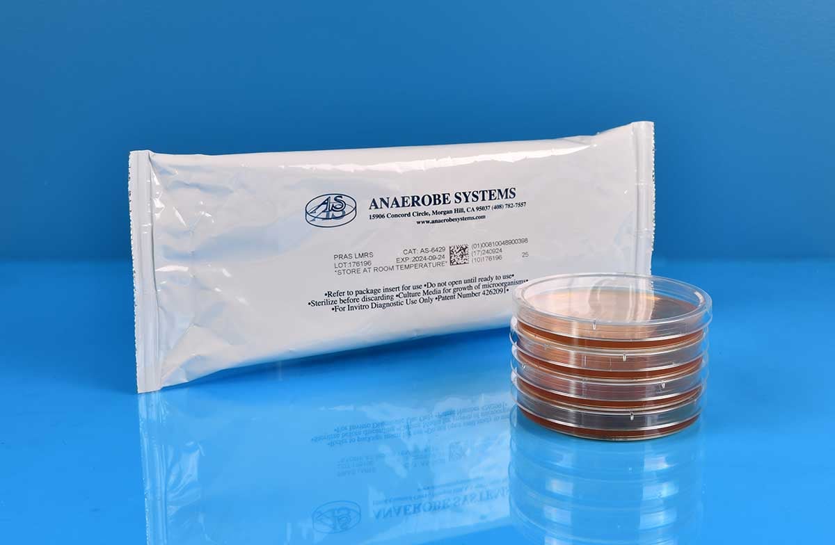 SAMPLE Lactobacilli-MRS Agar (LMRS)